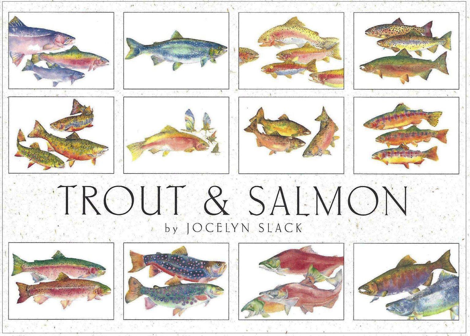 Jocelyn Slack Archives - Crane Creek Graphics